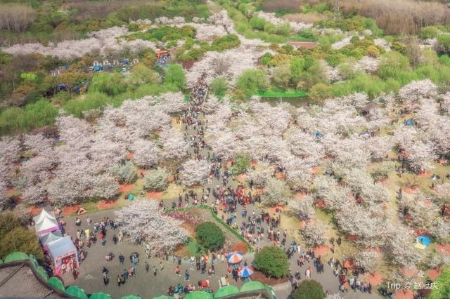 A Guide to Shanghai Suburbs travel notes and guides – Trip.com travel ...