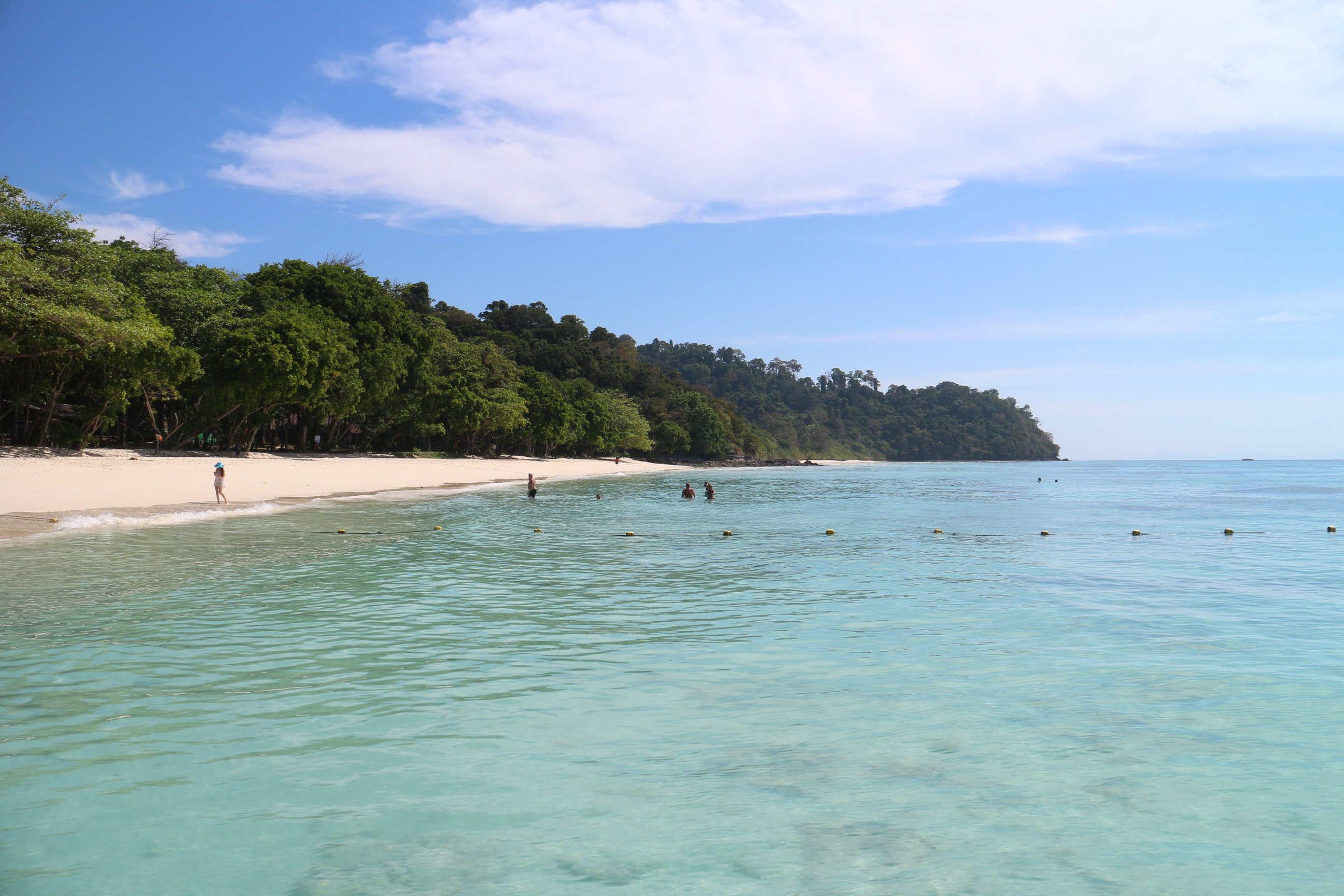 rok,_大山谷图库