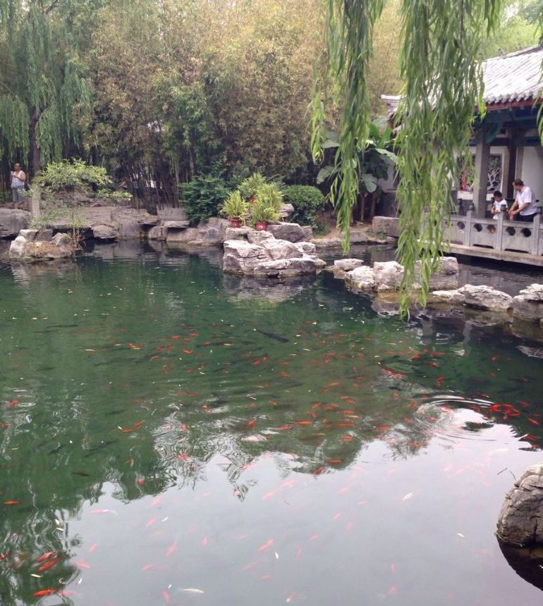 小泉眼简笔画,简单的泉水怎么画,泉眼怎么画_大山谷图库